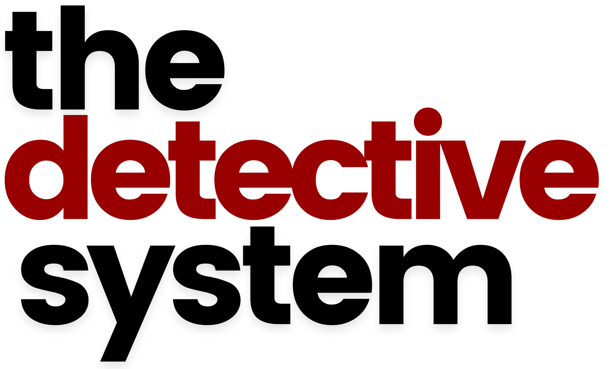 The Detective System - Kirsten Wolfe Academy